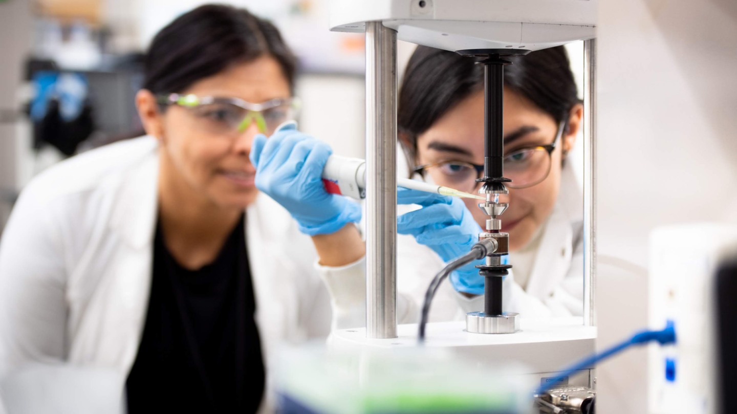 Biotechnology Graduate Program | Brown University