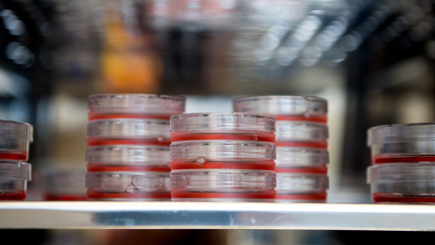 Financial Aid | Biotechnology Graduate Program | Brown University